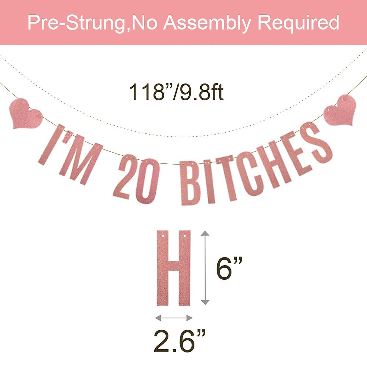 I'M 20 BITCHES Banner,Pre-strung, No Assembly Required, 20th Birthday Party Decorations ,Rose Gold Glitter Paper Garlands Backdrops, Letters Rose Gold Betteryanzi