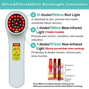 Kdvioo Cold Laser Therapy Device for Dogs,4x980nm+16x660nm+4x810nm Low Level Laser Therapy,Handheld Laser Therapy Device,Pet Laser Therapy for Dogs Cats Muscle & Joint Pain Relief,Reduce Inflammation