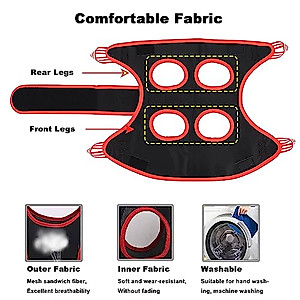 ATO-DJCX Cat Grooming Hammock Harness for Small Dogs,Pet Hammock Restraint Bag with Nail Clippers Trimmer,Nail File,Dog Grooming Sling for Trimming Nail and Ear/Eye Care(XS Size,6.5")