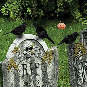 JOYIN 6 Pcs Crow Raven Halloween Decoration Indoor Outdoor Decor, Black Fake Crows Ravens Bird Props Haunted House Graveyard Cemetery Yard Table Decor Halloween Party Favors Desk Trees Walls Windows