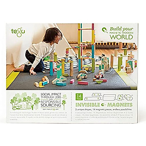 Tegu 14 Piece Magnetic Wooden Block Set in Tints