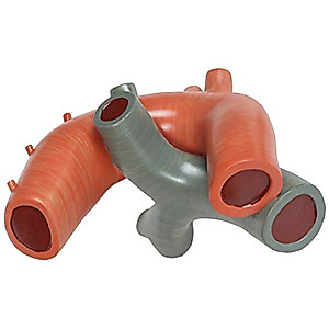 Axis Scientific Enlarged Human Heart Model, 3x Life-Size, Anatomically Accurate 3-Part Numbered Anatomical Heart Illustrates 34 Internal Structures, Magnetically Connected, Includes Product Manual