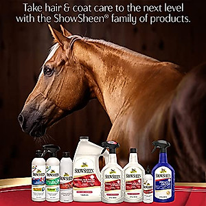 Absorbine ShowSheen Finishing Mist, Streak-Free Shine for Horses, Dogs, Livestock, 15oz