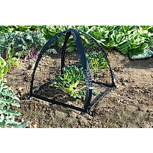 Nuvue PestGuard Mesh Framed Animal Pest Control Cover Size: 22"