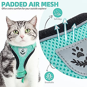 PUPTECK Cat Harness and Leash Set- Adjustable Vest Escape Proof Harness for Kitten Small Medium Cats, Retractable Breathable Soft Mesh for Outside with Reflective Strips