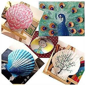 QICQDRAM 25PCS Sea Shells for Crafts Decoration 2''-3'' White Scallop Shells, for Crafts DIY Painting Beaching Wedding Decoration, Beach Natural Scallop Shells Bulk