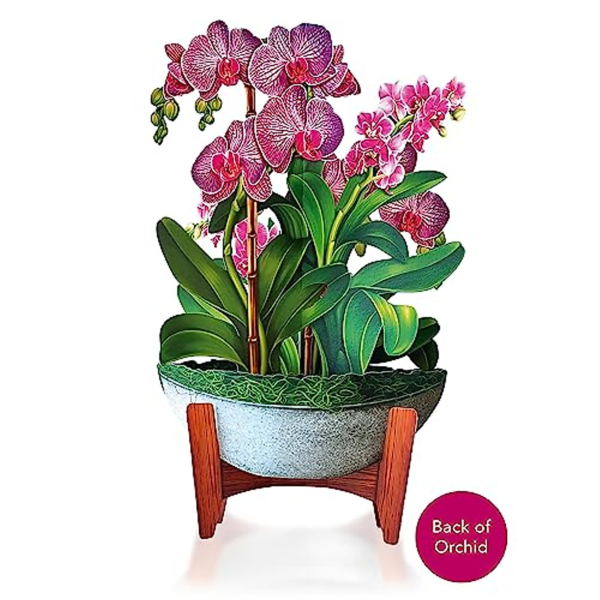 Freshcut Paper Pop Up Cards, Orchid Oasis, 12 Inch Life Sized Forever Flower Bouquet 3D Popup Greeting Cards, Birthday Gift Cards, Gifts for Her with Note Card & Envelope