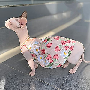 Sphynx Cat Summer Clothes Cute Soft Tank Top Fruit Pattern Cotton Vest Kitten Shirts for Sphynx, Cornish Rex, Devon Rex, Peterbald (L（7.3-9.7lbs）, Big Strawberry)