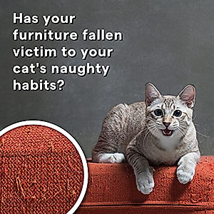 Pet Nail Clippers for Small Animals - Best Cat Nail Clippers & Claw Trimmer for Home Grooming Kit - Professional Grooming Tool for Tiny Dog Cat Bunny Rabbit Bird Puppy Kitten Ferret - Ebook Guide