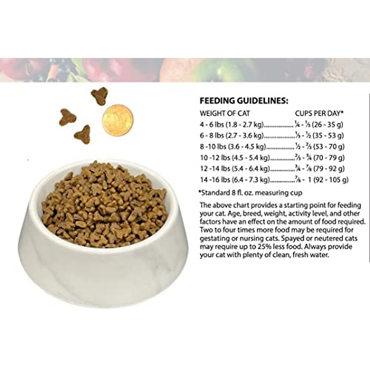 Bench & Field Holistic Natural Premium Adult Dry Cat Food, Chicken Meal and Brown Rice Recipe 3 lb Bags (Pack of 3)