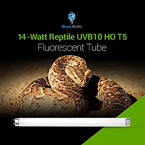 2 Pack 18W-Watt T8 Reptile Light Desert UVA UVB 10.0 Fluorescent Tube - 24" Terrarium Hood Light Suitable for Desert Reptile Lizards Bearded Dragons & More Promotes Natural Behavior UVB Bulb (24 Inch)
