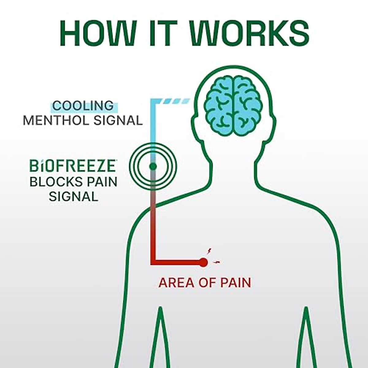Biofreeze Professional Gel Pain Relief, Knee & Lower Back Pain Relief, Arthritis Pain Reliever, Sore Muscle Relief, Neck Pain Relief, Cooling Joint Pain Relief, Menthol Gel 32 Fl Oz