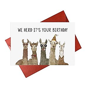 Llama Birthday Card,Funny Alpaca Birthday Cards For Friends