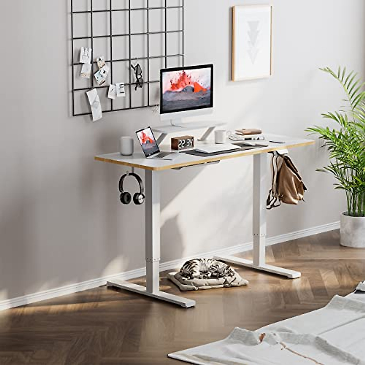 SANODESK Height Adjustable Desk 55 inch, Electric Standing Desk/w USB Charging Ports, White Sit Stand Desk for Home Office with Monitor Shelf (55 x 24 inches)