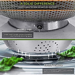 LiveFresh Stainless Steel Micro-Perforated 5-Quart Colander - Professional Strainer with Heavy Duty Handles and Self-draining Solid Ring Base - Dishwasher Safe