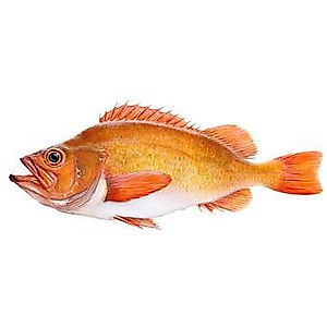 Icelandic+ Plus Redfish Skin Rolls Dog Treat 3-oz Bag