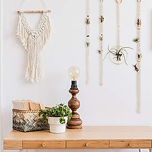 4 Pieces Hanging Air Plant Holders Tassel Plant Hanger Fabric Woven Hanging Plant Holder Decorative Air Plant Hanger with 4 Pieces Hooks for Home Plant Decoration (Beige)