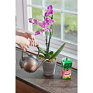 Miracle-Gro Water Soluble Orchid Food, Plant Fertilizer, 8 oz. (12-Pack)
