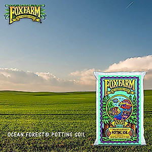 Fox Farm Ocean Forest and Happy Frog Potting Soil Organic Natural Soil Mix for Indoor and Outdoor Plants - Organic Plant Fertilizer - (12 Quart). - (Bundled with Pearsons Protective Gloves) (2 Pack)
