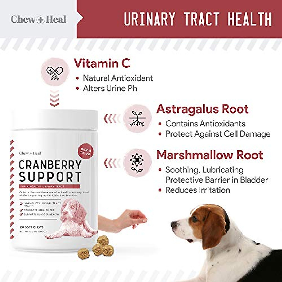Chew + Heal UTI Treatment Cranberry Chews for Dogs - 120 Soft Chews - Supports Healthy Urinary Tract and Bladder Function - Corrects Imbalances - with Echinacea and Vitamin C