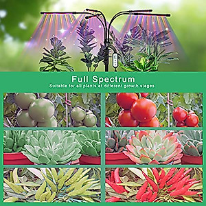 Aogled Grow Light with Stand,50W 5 Head LED Full Spectrum Indoor Plant Lamp with Remote Control,Adjustable Gooseneck,4/8/12H Timer and 10 Dimmable Brightness for Seed Starting Succulents Vegetables