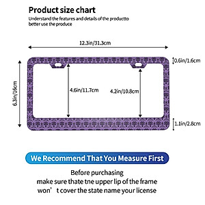 Haunted The Mansion License Plate Frames Cars Decor Universal Car Accessories Fits Standard US Vehicles for Women Men with 2 Holes with Black Screw Caps Pack 2