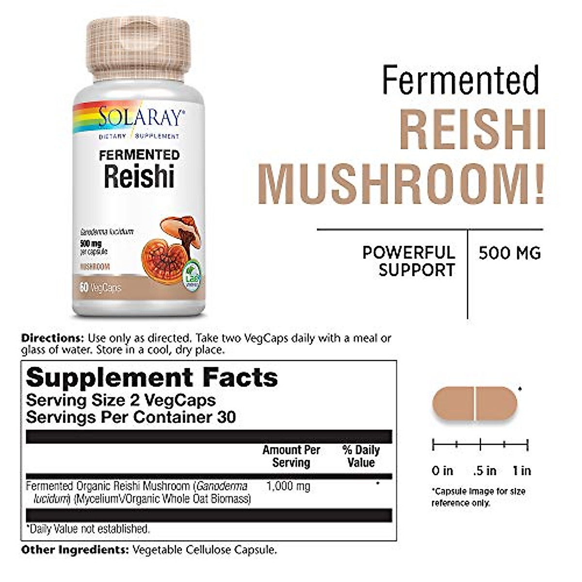SOLARAY Fermented Reishi Mushroom 500mg | Healthy Immune, Heart & Brain Function Support | Energy & Mood Supplement | 60 VegCaps