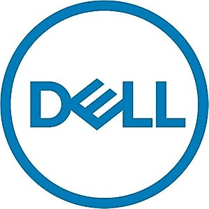 960GB SSD SAS RI 12Gbps 512e 2.5in