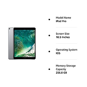 Apple iPad Pro 10.5in - 256GB Wifi - 2017 Model - Gray (Renewed)