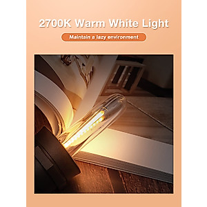 LED Replacement Bulbs 1W T13, 4 Pack Waterproof E12 Screw Base for Outdoor LED String Lights Shatterproof, for Indoor and Outdoor Use