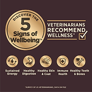 Wellness CORE Digestive Health Dry Dog Food with Wholesome Grains, Highly Digestible, for Dogs with Sensitive Stomachs, Made in USA with Real Protein (Small Breed, Chicken & Brown Rice, 4-Pound Bag)