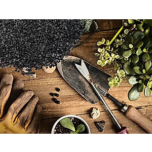 TerraGreen Creations - Horticultural Charcoal, Activated Hardwood Charcoal for Soil, Terrarium Supplies, Great for Conditioning Bonsai Soil, Succulent Soil, Indoor Plant Potting Soil (1qt.)