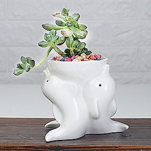 Hemoton Cute Succulent Planter, Ceramic Animal Dolphin Plant Pots with Drainage Hole, Planters for Indoor Plants Succulents