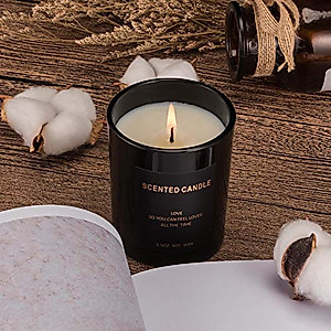 Fight Eagle Scented Candle Exquisite Black Glass Jars Long Lasting High 30 Hours Natural Soy Wax Scented Candles for Home Scented,Gifts,Office,Bathroom, Romantic Travel Goods. (Amber&Moss)