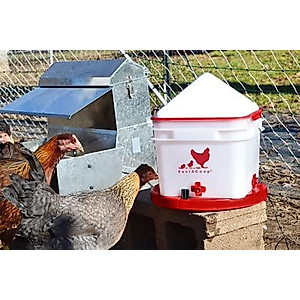 RentACoop 12" Poultry Deicer Base – Electric Heated Warmer for Poultry Waterers in Winter, Freeze Proof, Indoor/Outdoor Use