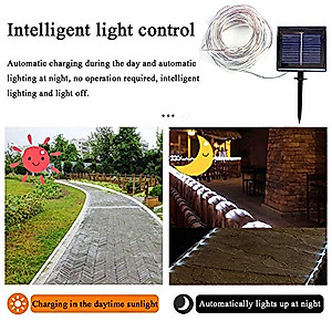 Solar Rope Lights, 66 Feet 200 LED 8 Modes Solar Rope String Lights Outdoor Fairy Lights Rope Waterproof Tube Lights with Solar Panel for Outdoor Indoor Home Decoration Garden Patio Parties