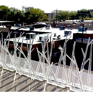 Bird-X, SP-10-NR Plastic Polycarbonate Bird Spikes Kit with Adhesive Glue, Covers 10 feet