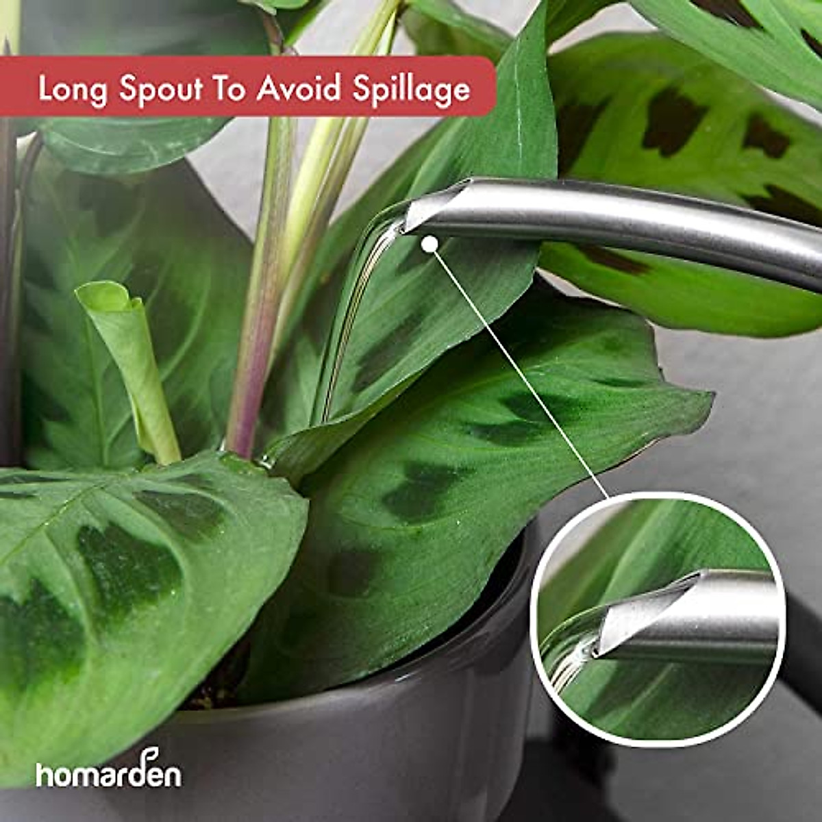 Homarden Stainless Steel Watering Can, Long Spout for No Spillage, Indoor/Outdoor Plants, Ideal 30 oz.
