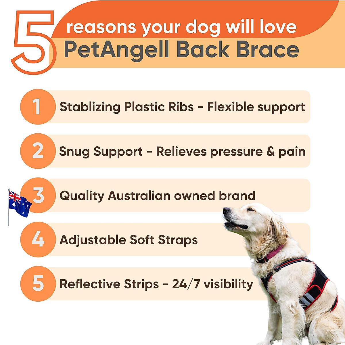 Dog Back Brace - Specialized IVDD Back Brace for Dogs, Arthritis Relief, Herniated Disc, Slipped Disc, Surgery Recovery - Dog Spine Support Harness - IVDD Dog Supplies, PetAngell - Large