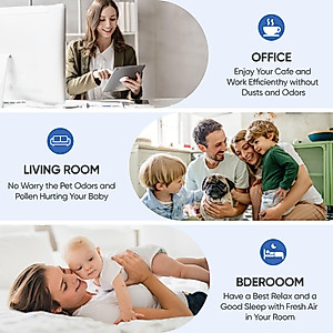LBLVBNEWD 3-in-1 Purezone Replacement Filter Compatible with Pure Enrichment PureZone Air Purifier PEAIRPLG, H13 Grade True HEPA Filters 2-Pack