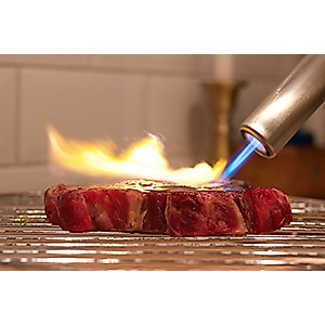 Bison Airlighter 420 (White), Cordless Fire Starter, Charcoal Lighter, Grill Starter, Campfire Starter, Butane Powered with Built-in Air Blower