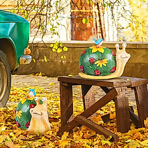 Garden Statue Snail Figurine Solar Powered LED Lights Resin Animal Sculpture for Home Cafe Restaurant Office Indoor Outdoor Decorations Patio Lawn Yard Art Ornaments 10 x 8.5 Inch