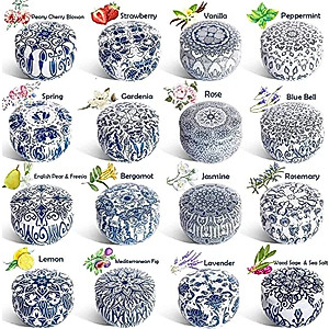 JHENG Scented Candles Gifts Set 16 Pack Soy Wax Travel Tin Jar Candles for Home 2.5 OZ Aromatherapy Candles for Mom for Christmas, Birthday, Thanksgiving, Mother's Day