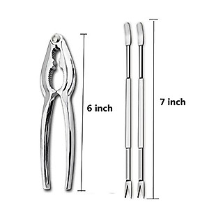 Seafood Crackers Tools Nutcrackers tools, Crab Nut Lobster Crackers Opener Shellfish Lobster Leg Sheller Kitchen Kits Pack of 9…