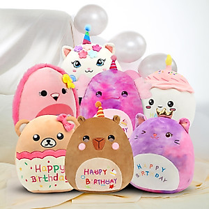 Easfan Birthday Capybara Plush Pillow Soft Toys with Happy Birthday Colorful Embroidered Stuffed Animals Gifts for Kids Adults, 12 inches