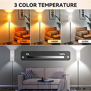 ATAEFR Floor Lamps for Living Room Bedroom, Modern Standing Lamp with Remote Control, Dimmable 3 Color Temperatures, 67" Tall lamp for Reading Office, 12W LED Bulb