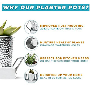 Saratoga Home Small Plant Pots with Drainage Holes Use as Herb Garden Planters, Shallow Planter, Succulent or Flower Pots, Outdoor Indoor Planter Pots with Drainage & Tray, 3 Set of 4 inch Pots