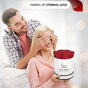 LOVAPPY Preserved Real Roses in a Box Roses That Last Up to 3 Years, Long Lasting Roses Gifts for Her, Valentines Day Gifts for Her (7 Red)