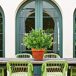 COCOBOO 8pcs Artificial Boxwood Stems for Artificial Flowers Outdoors Decor, Unfading in The Sun Plastic Plant, Fake Foliage Shrubs Greenery for Home Farmhouse Garden Wedding Indoor Outside Decoration