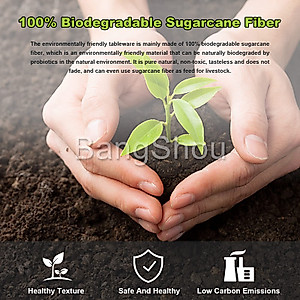 BangShou 50 Piecs 8 Inch Square Paper Plates, Heavy Duty Disposable Plate,100% Compostable Sugarcane Appetizer Plates, Large Sturdy Disposable Paper Plates for Dinner Party,BBQ,Birthday